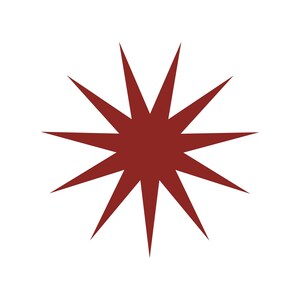 11 Point Star Shape Vinyl Decal Star Symbol Sticker - Etsy