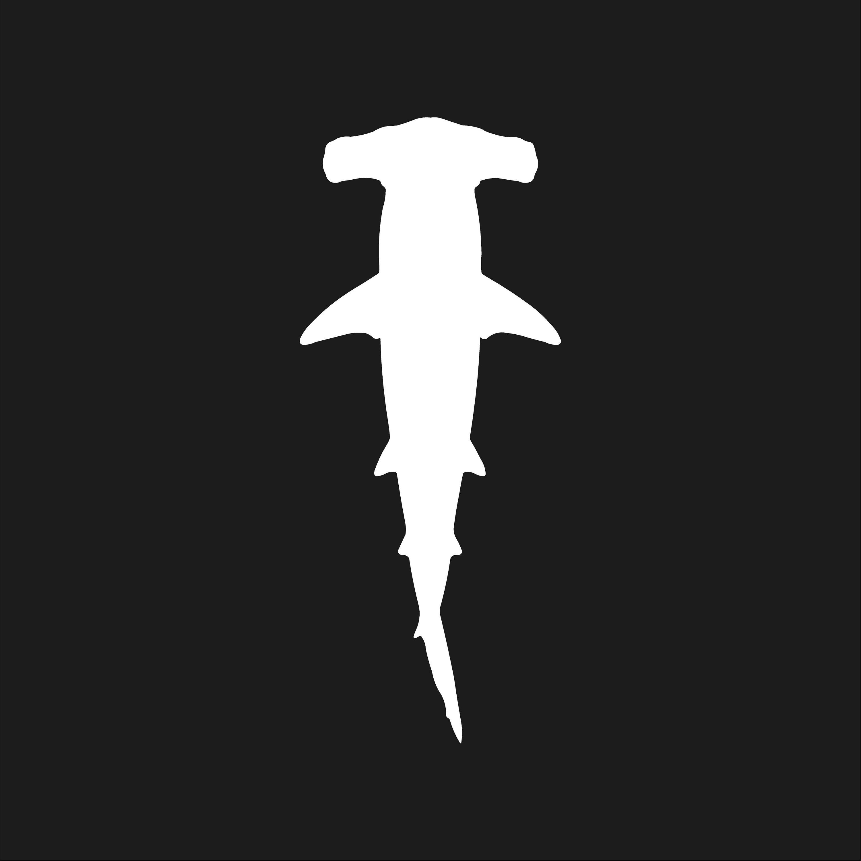 Hammerhead Shark Vinyl Sticker Decal Sphyrnidae Shark Outline - Etsy