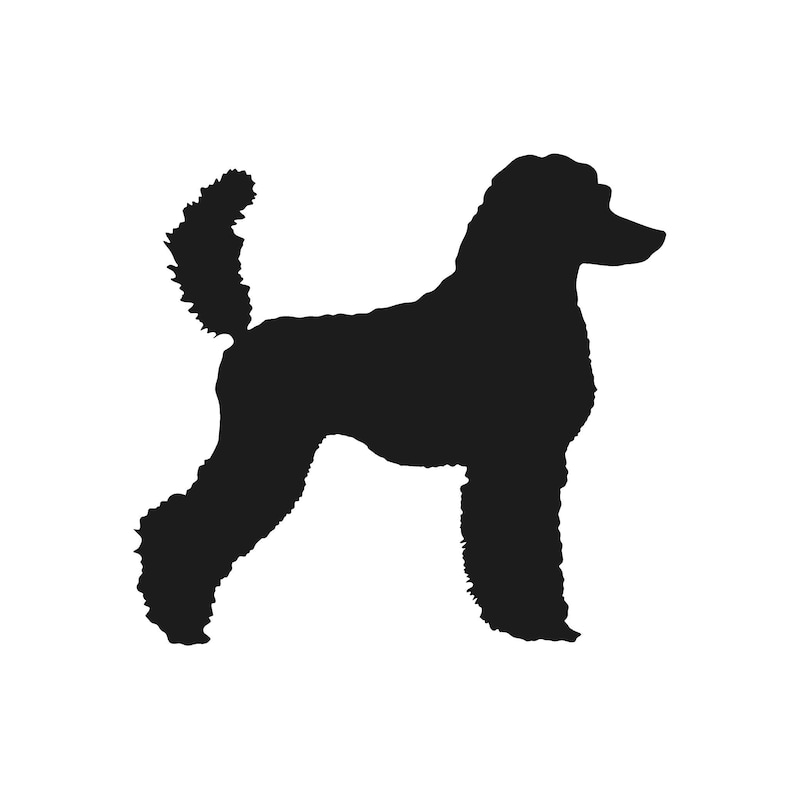Poodle Sticker Silhouette - Etsy