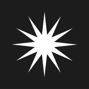 12 Point Star Shape Vinyl Decal Star Symbol Sticker - Etsy