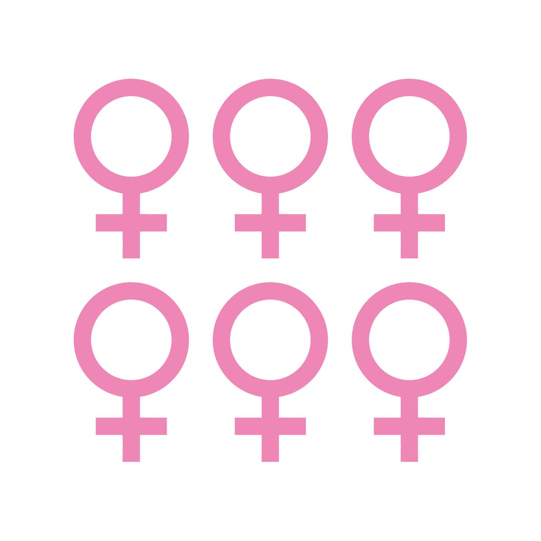 Set of 6 Female Symbols Sticker Vinyl Decal Gender - Etsy