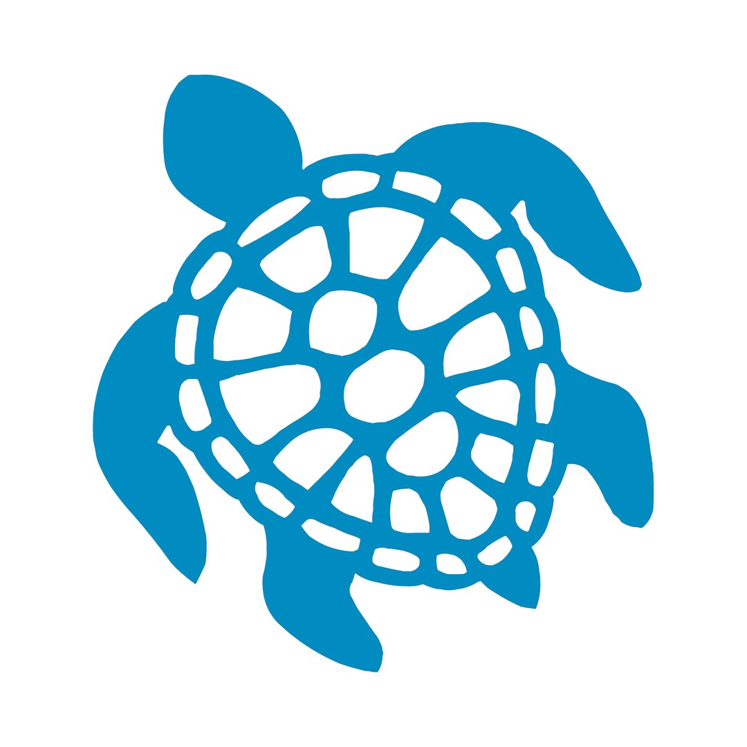 Sea Turtle Vinyl Decal Car Window Laptop Animal Sticker - Etsy