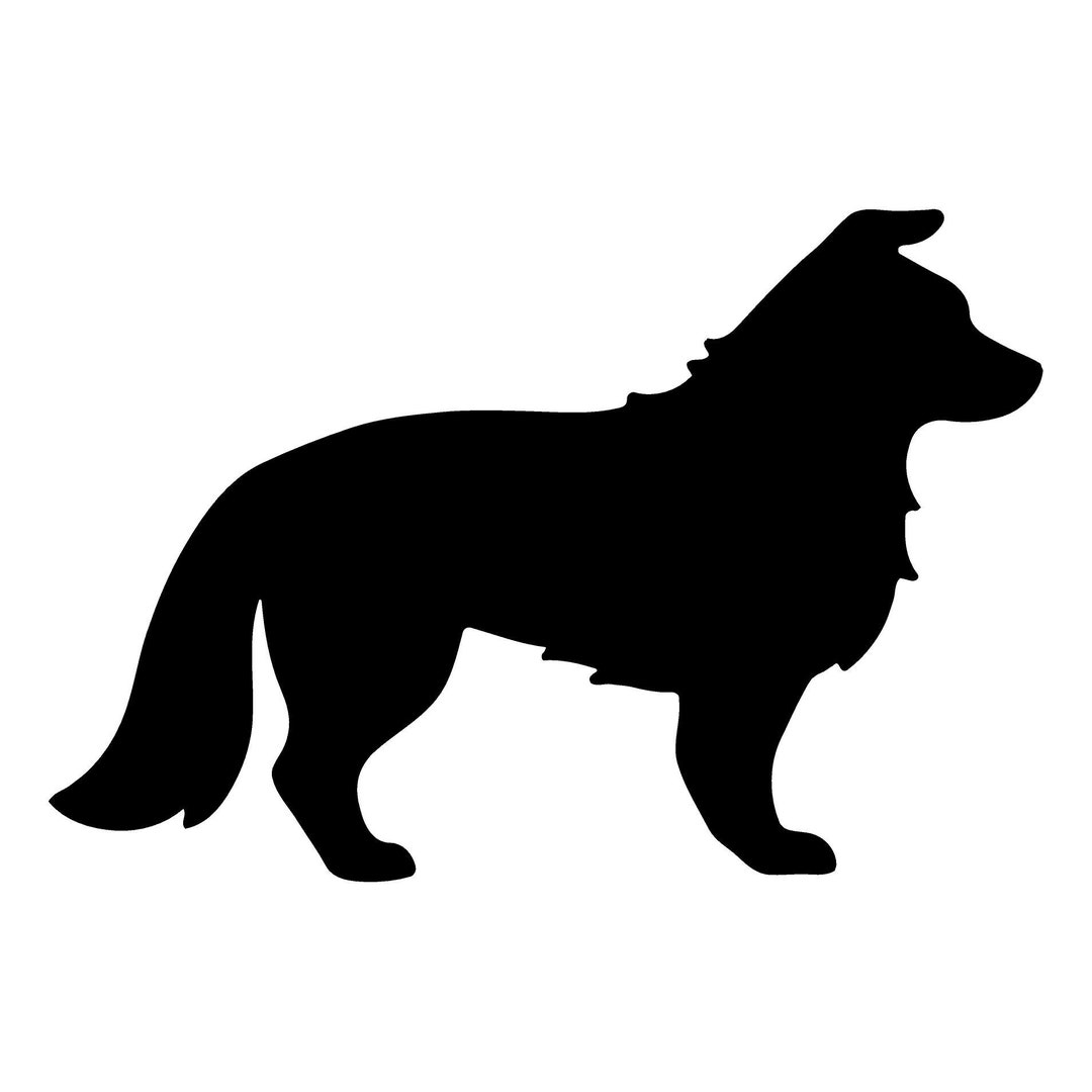 Border Collie Vinyl Decal Sticker Car Window Laptop Dog - Etsy