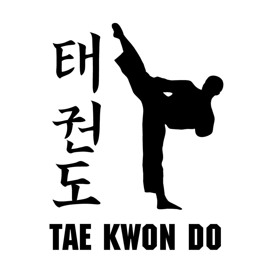 Taekwondo Vinyl Decal Car Window Laptop Tae Kwon Do Martial Arts ...