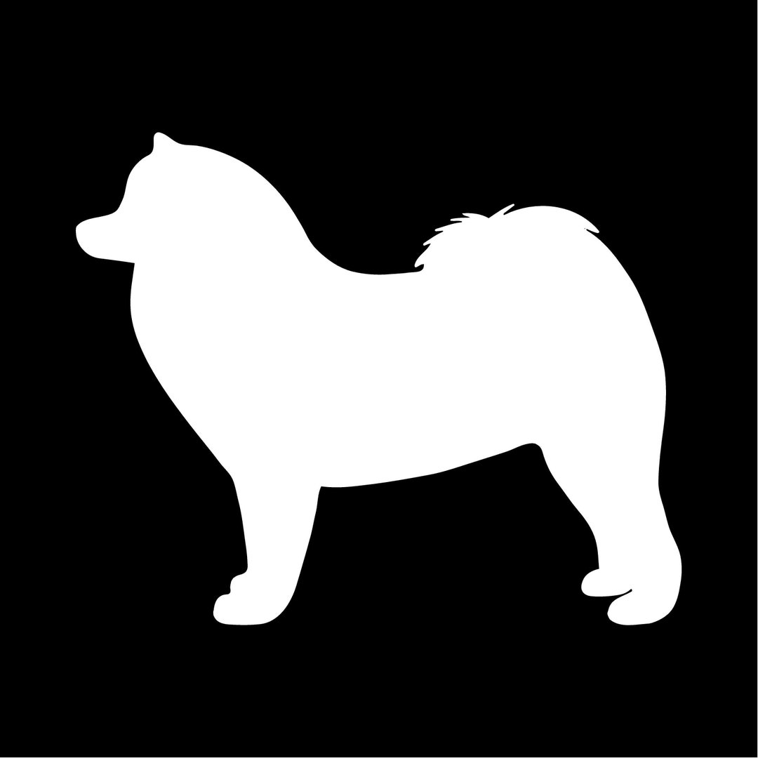 Samoyed Vinyl Decal Car Window Laptop Dog Breed Silhouette Sticker - Etsy