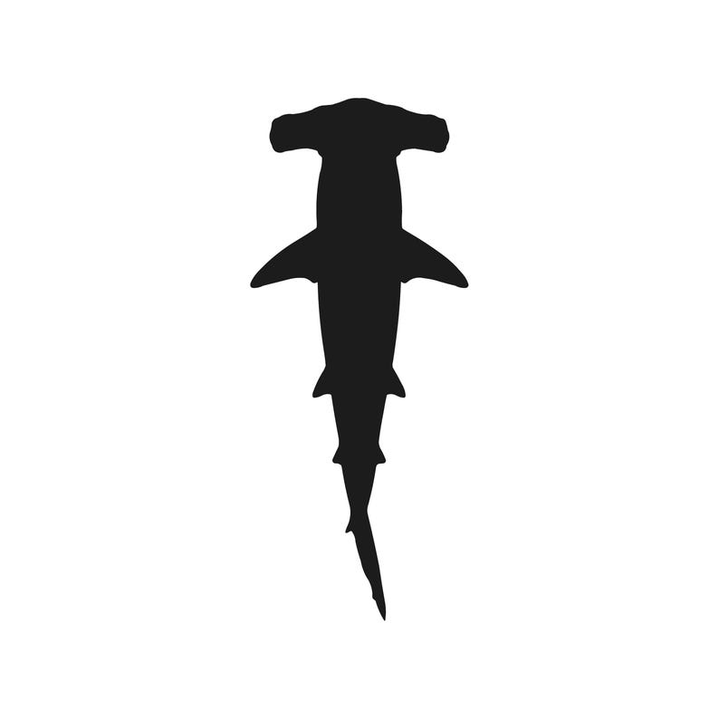 Hammerhead Shark Vinyl Sticker Decal Sphyrnidae Shark Outline - Etsy
