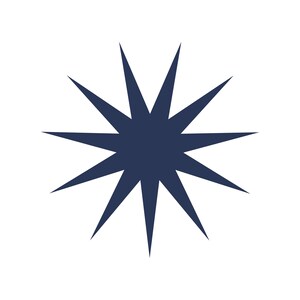 11 Point Star Shape Vinyl Decal Star Symbol Sticker - Etsy