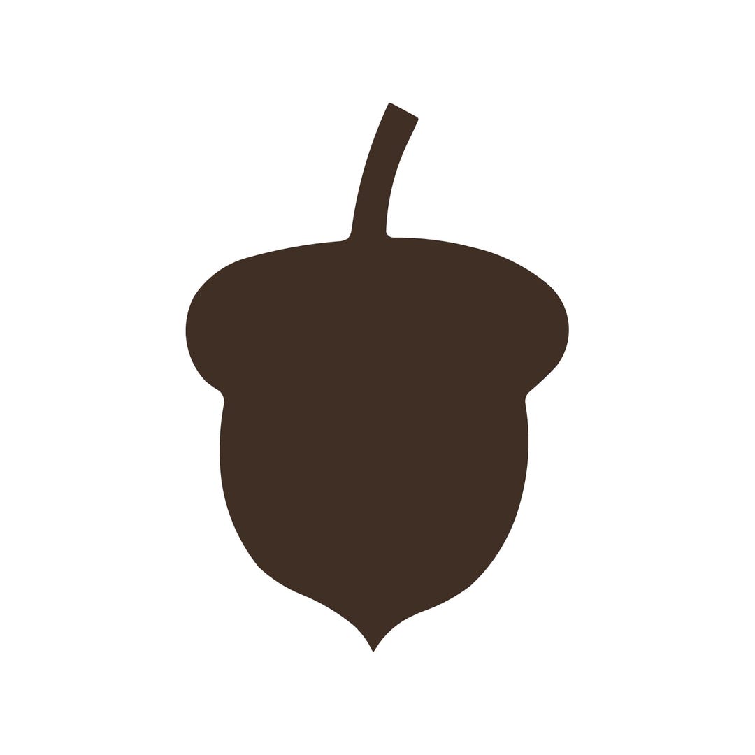 Acorn Shape Vinyl Decal Car Window Laptop Fall Sticker - Etsy