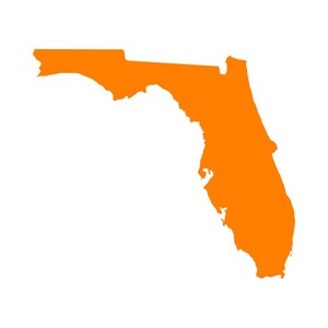 Florida State Outline Vinyl Decal Sticker - Etsy