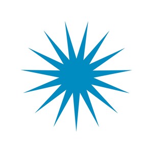 15 Point Star Shape Vinyl Decal Star Symbol Sticker - Etsy