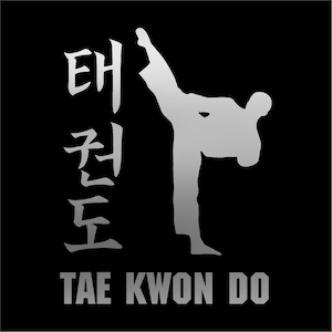 Taekwondo Vinyl Decal Car Window Laptop Tae Kwon Do Martial Arts ...