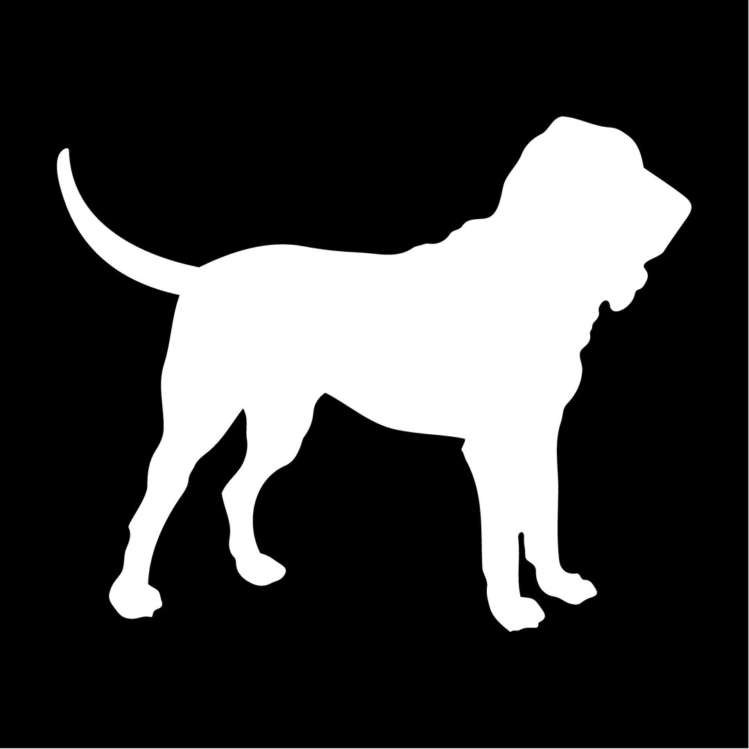 Bloodhound Vinyl Decal Car Window Laptop Dog Silhouette Sticker - Etsy