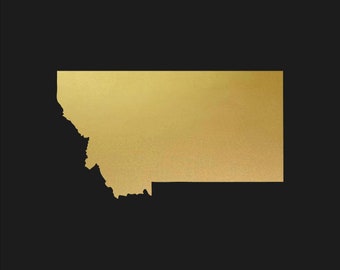 Texas State Outline Vinyl Decal Sticker - Etsy