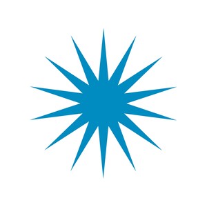 14 Point Star Shape Vinyl Decal Star Symbol Sticker - Etsy