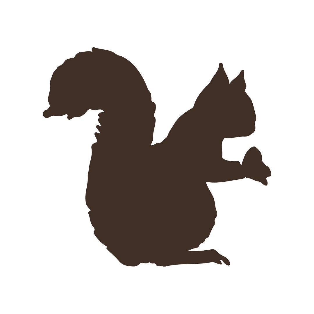 Squirrel Vinyl Decals Car and Phone Case Stickers - Etsy