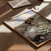 Light Academia Painting Academia Decor Vintage Wall Art Victorian ...