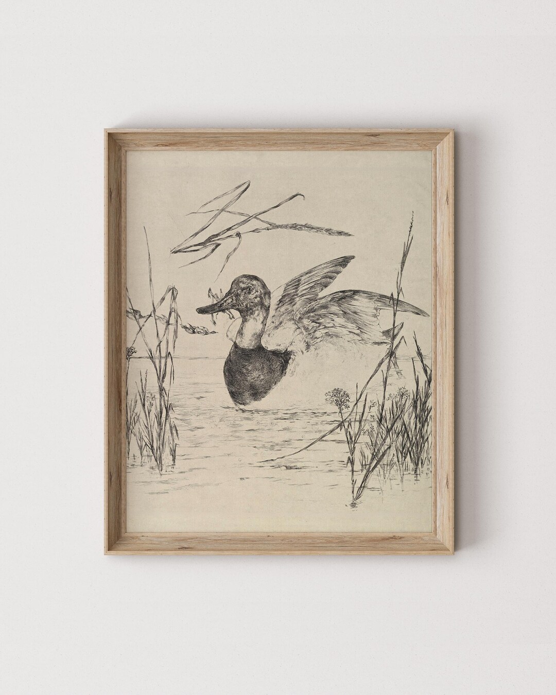 Duck Art Print | Vintage Farmhouse Wall Decor | Antique Animal Drawing ...