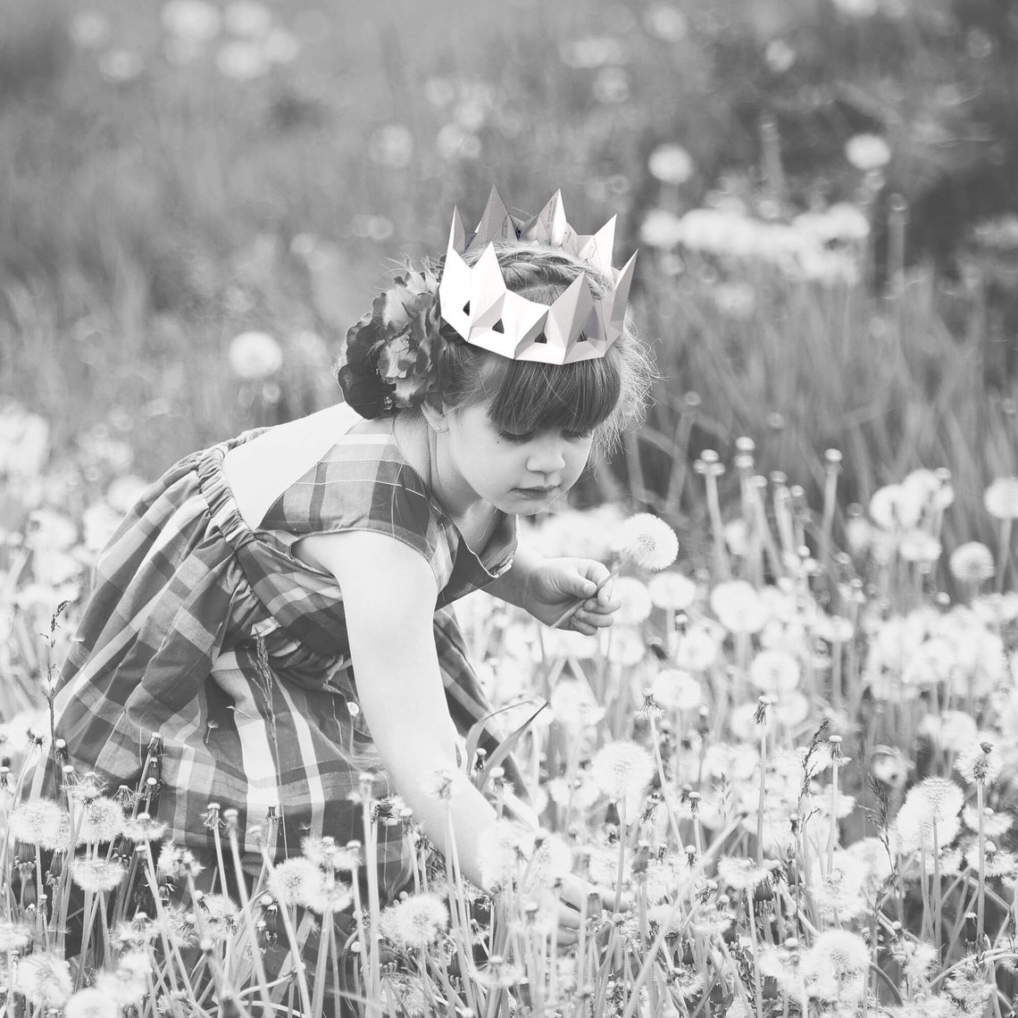 Prince Crown DIY Template for Kids and Adults. Downloadable | Etsy