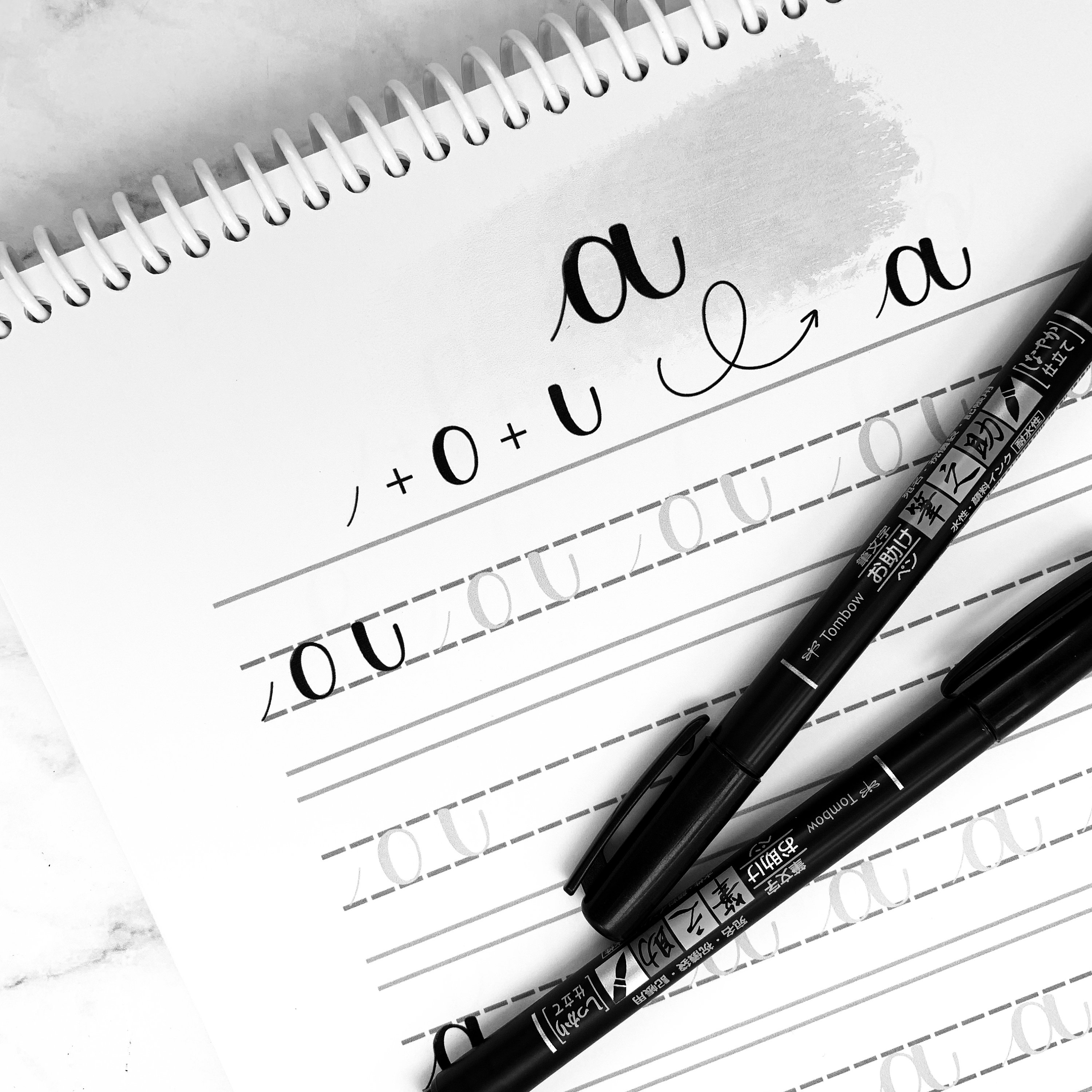 De manuel de calligraphie Apprendre le lettrage au pinceau Cours de ...