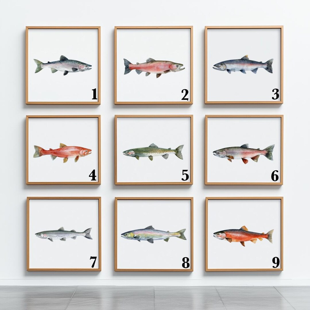 Salmon & Trout Fishing Gallery Wall, Fly Fishing Decor, Fishing Lover ...