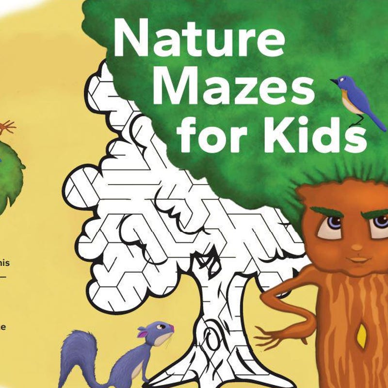 Nature Mazes for Kids - Etsy