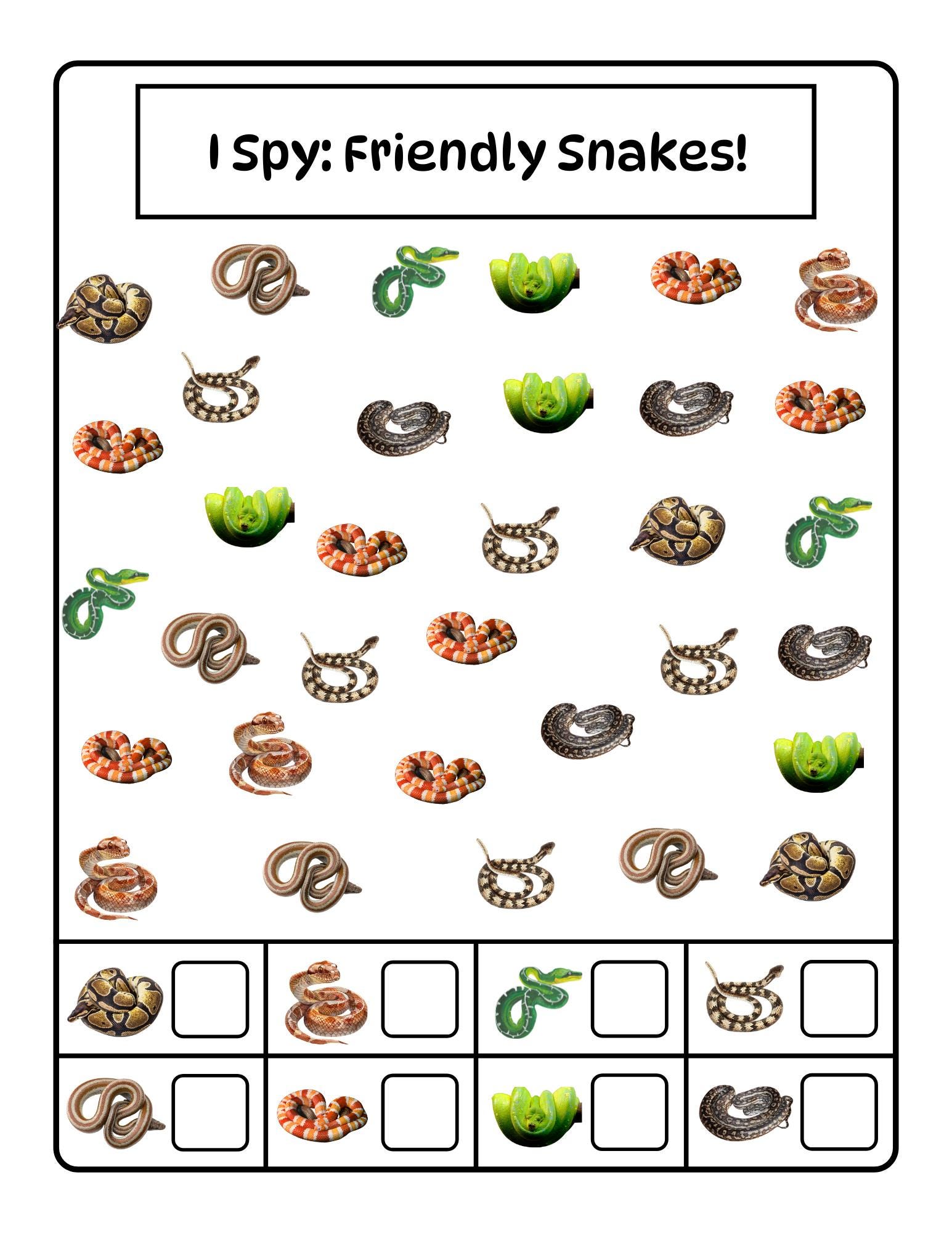 I Spy Snakes – 15 Fun Printable Activity Pages for Kids – Snake-themed ...