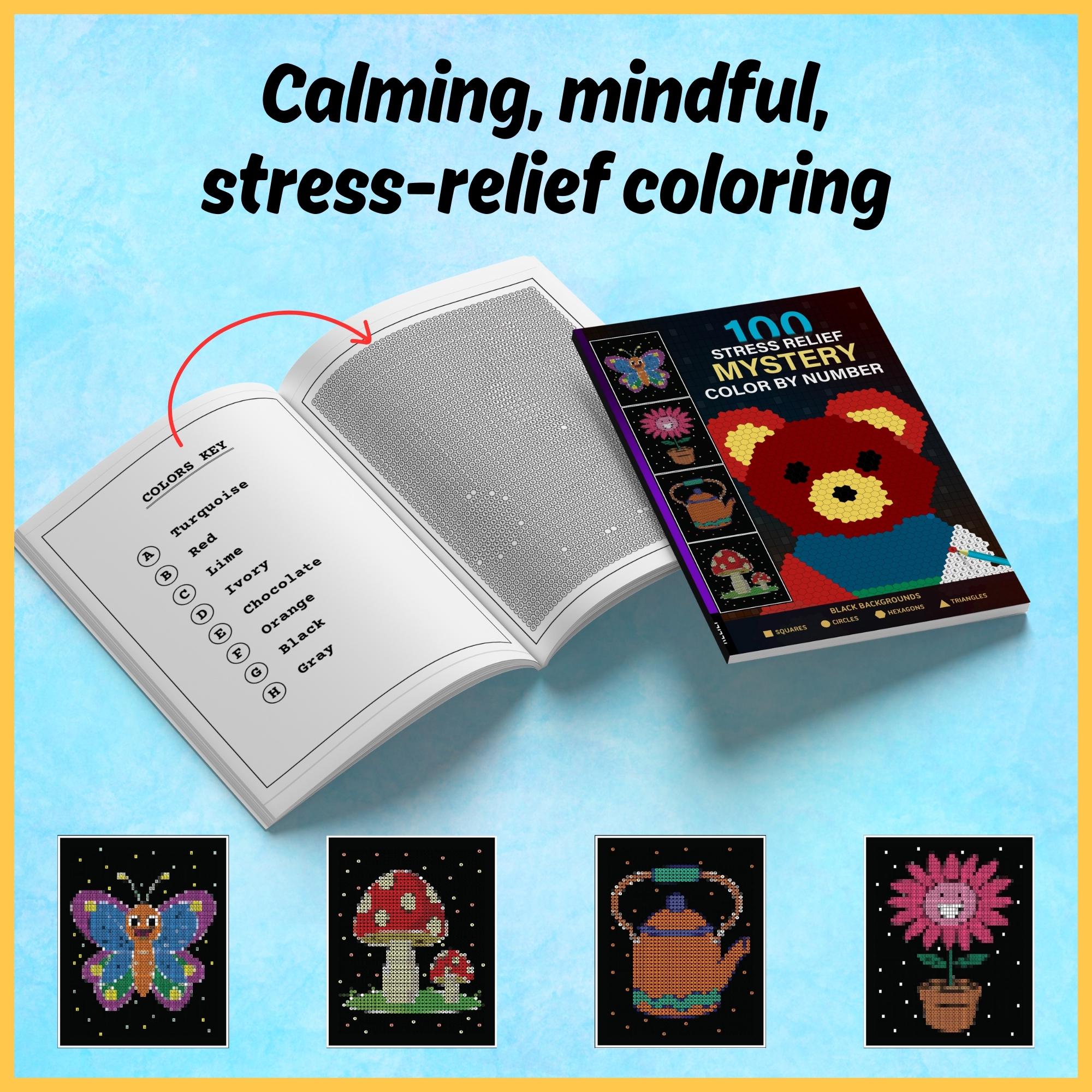100 Mystery Color by Number Book | Stress Relief Coloring PDF | Digital ...
