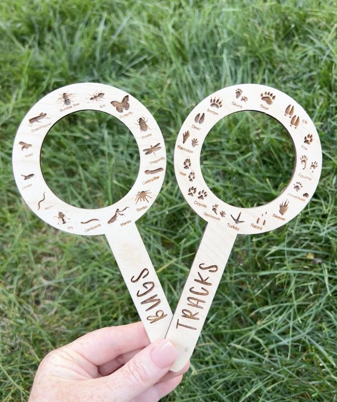 Bug and Track Identifier Learning Tool - Etsy