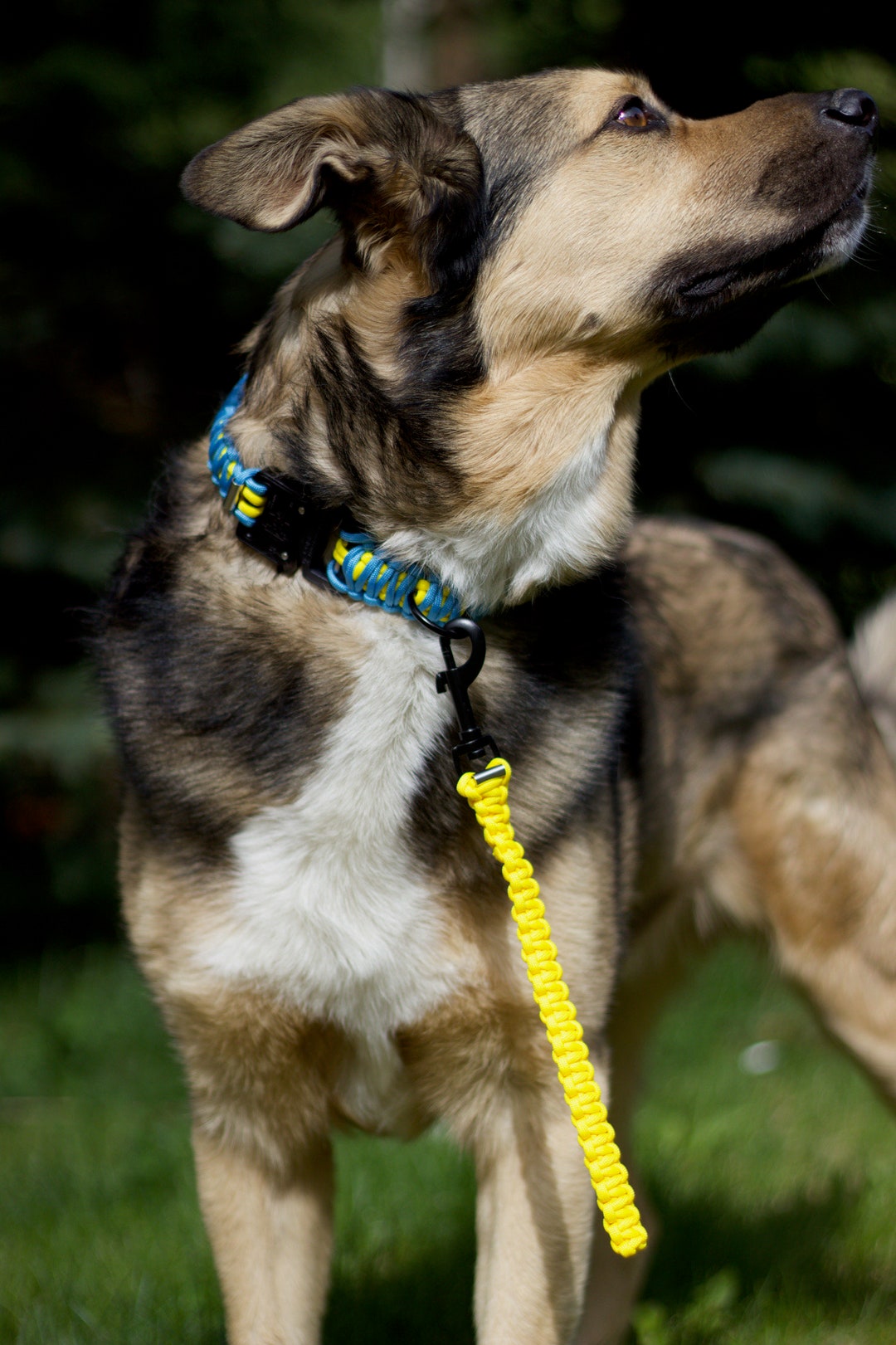 6” Custom Paracord Tab Lead - Etsy