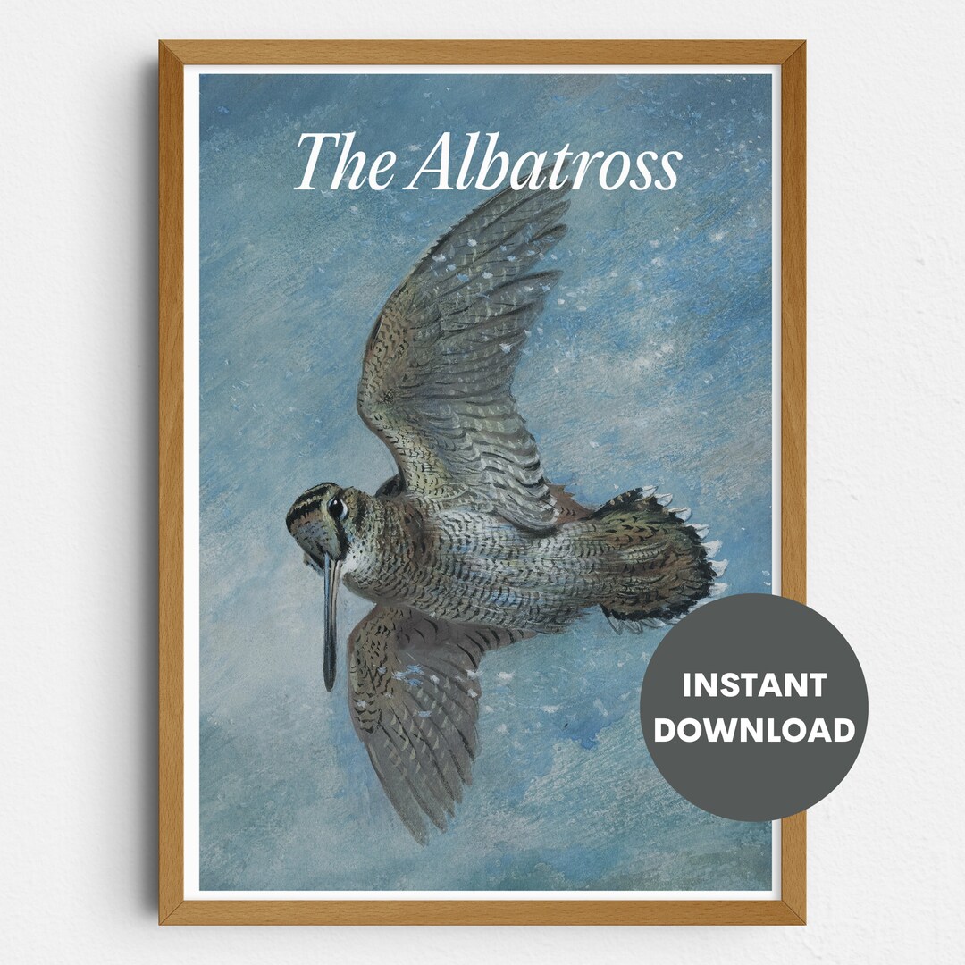 The Albatross Poster Taylor Swift Inspired Poster Song Digital Music ...