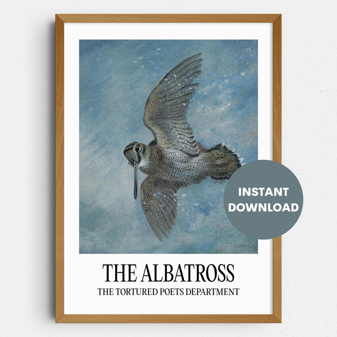 The Albatross Poster Taylor Swift Inspired Poster Song Digital Music ...