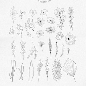 Elegant Boho Floral, Flower Line Art, Flower SVG, Flower Logo, Flower ...