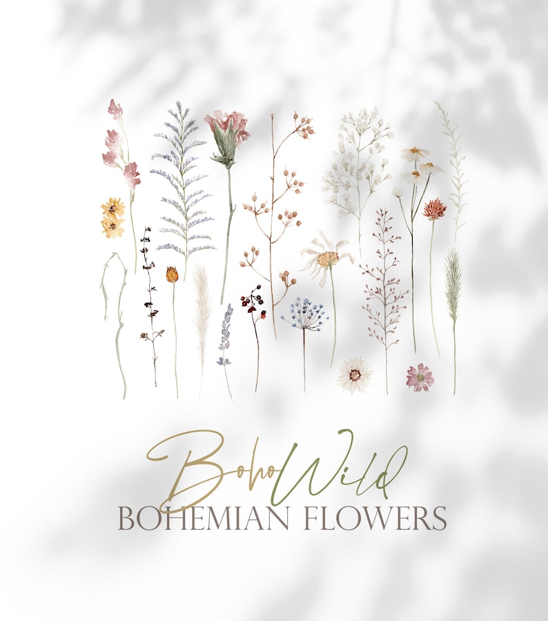 Boho Wild Flowers Watercolor Wild Flower Wild Flower PNG - Etsy