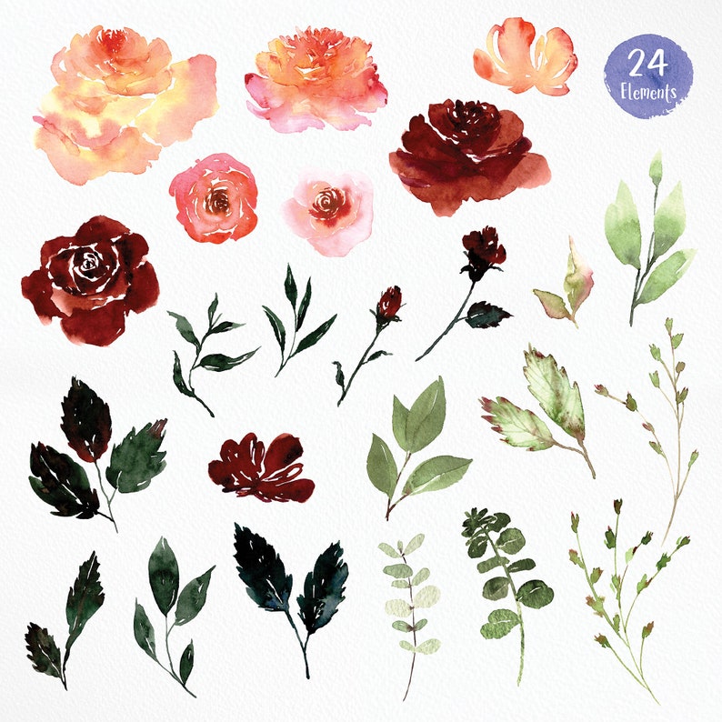 Watercolor Clipart Roses Bouquet Floral Arrangements | Etsy