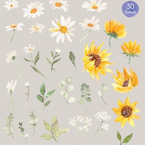 Watercolor Clipart, Daisy Bouquet, Floral Arrangements, Sun Flower ...