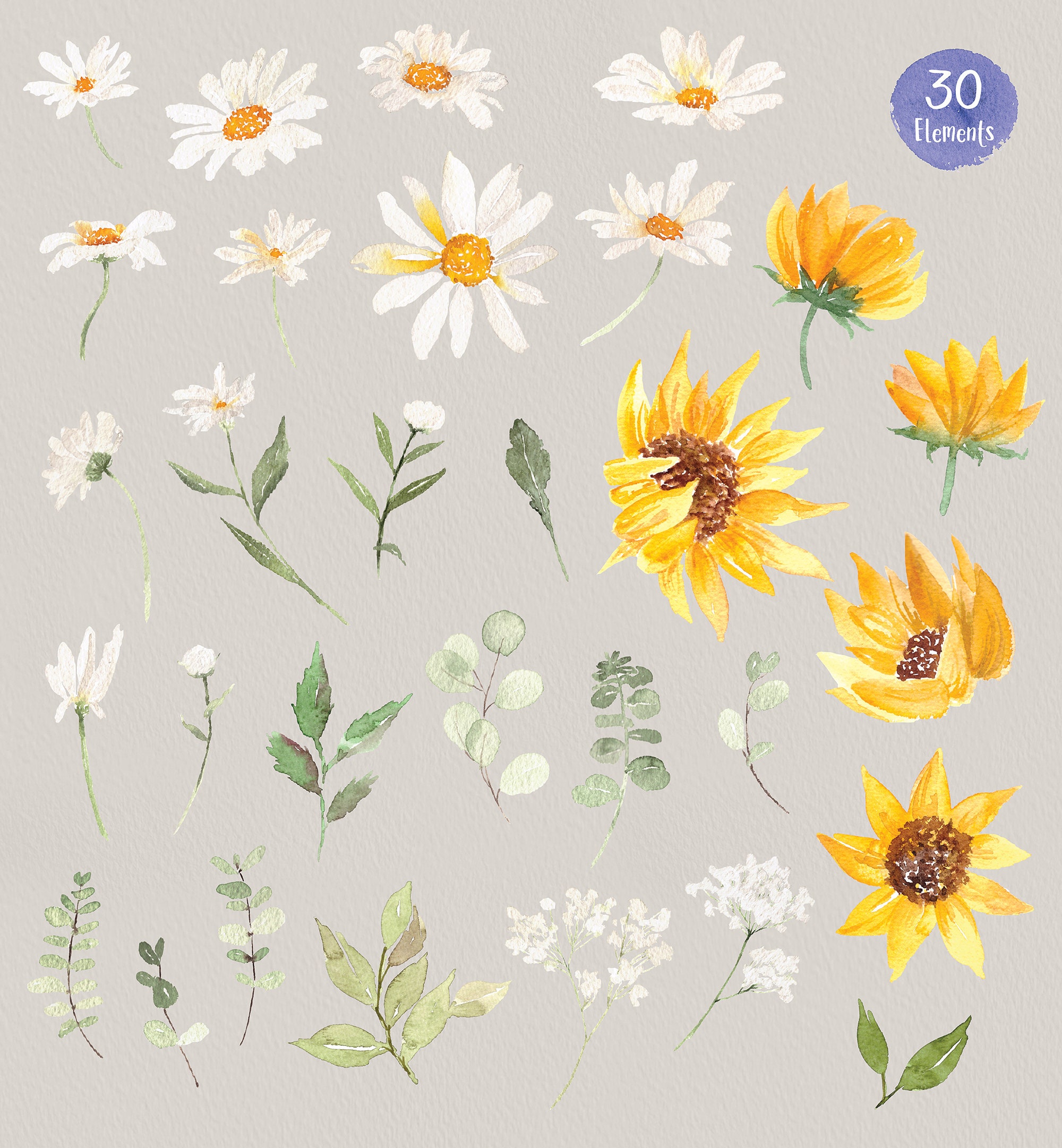 Watercolor Clipart, Daisy Bouquet, Floral Arrangements, Sun Flower ...