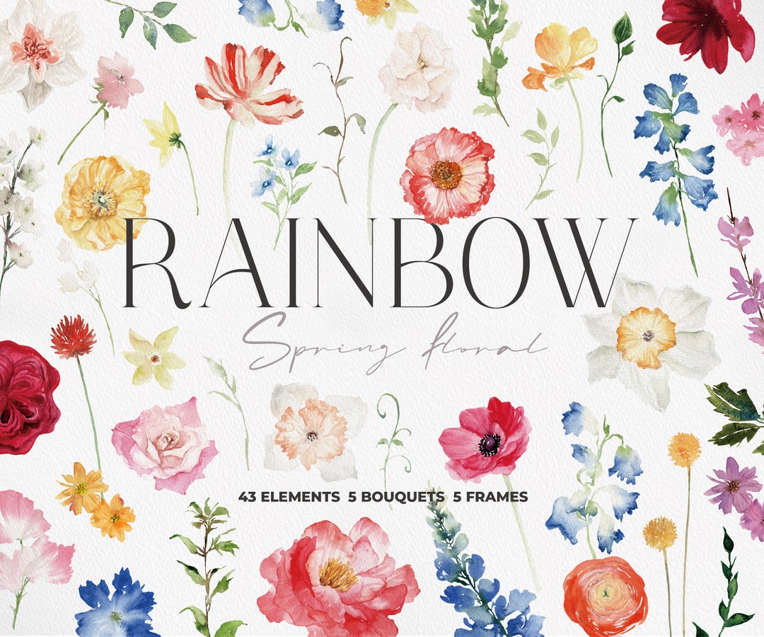 RAINBOW Floral, Watercolor Flower, Flower Clipart, Wildflower PNG ...