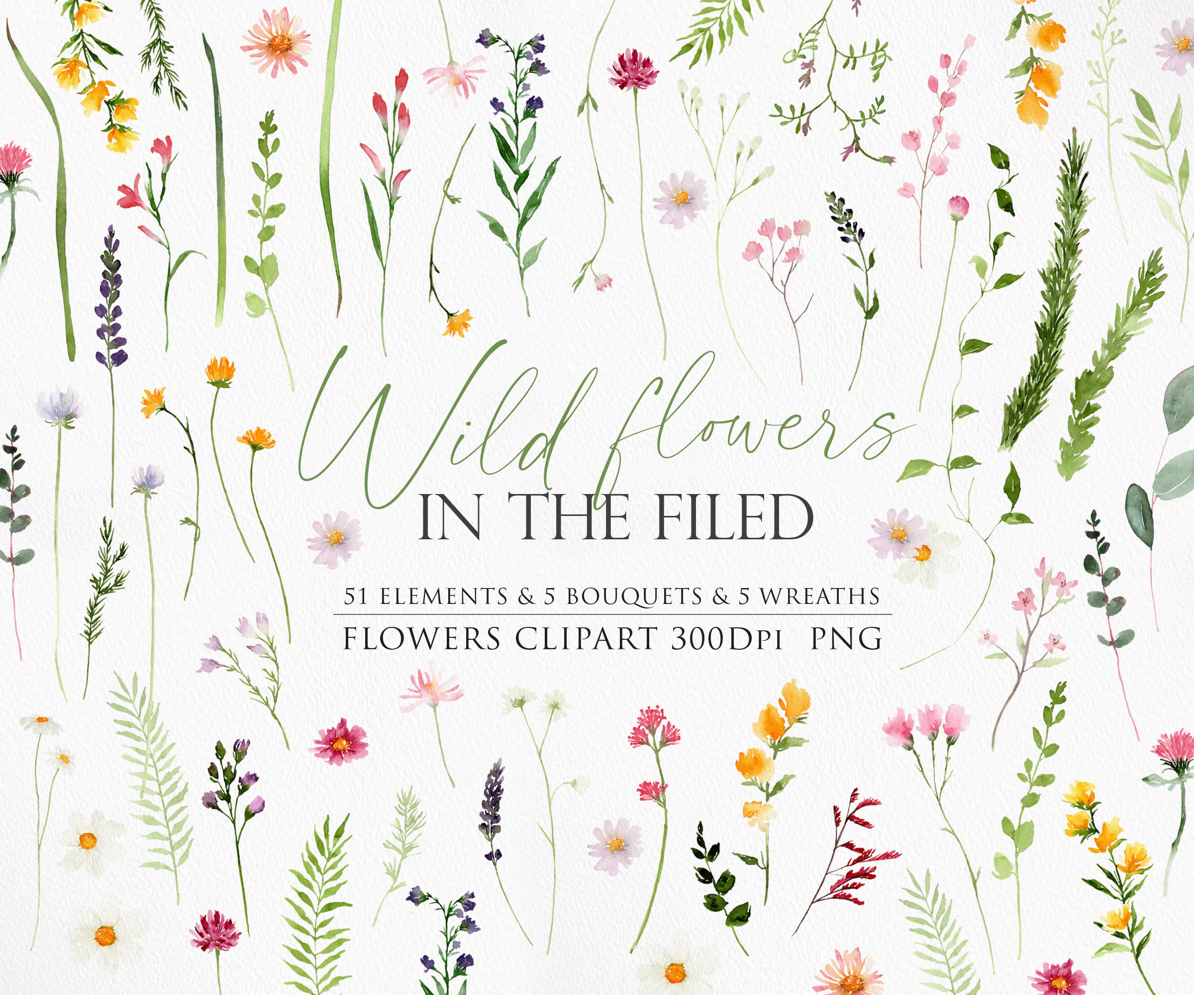 Wild Flowers Flower Clipart Watercolor Flower Watercolor - Etsy