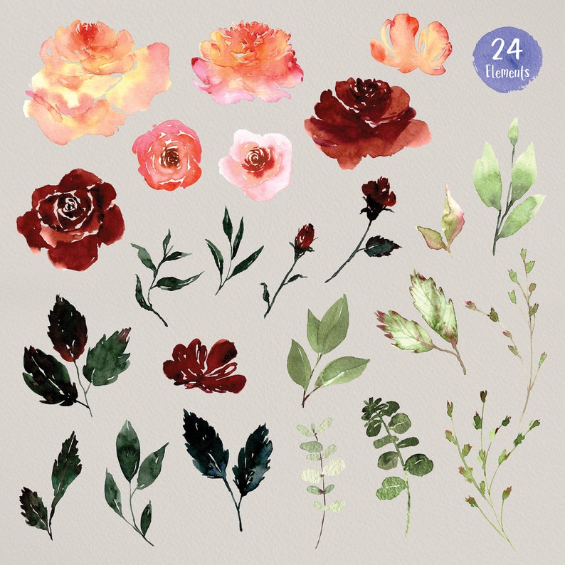 Watercolor Clipart Roses Bouquet Floral Arrangements | Etsy
