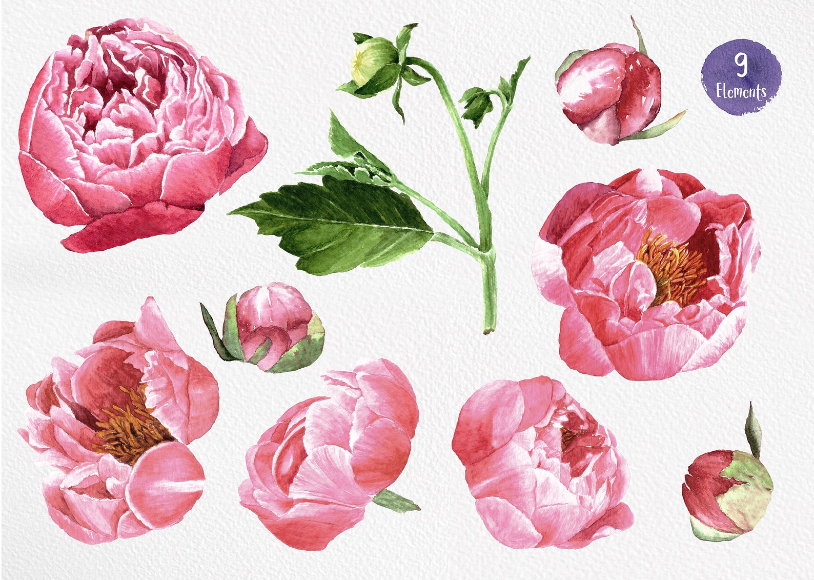 Peony Watercolor Clipart Greenery Watercolor Bouquets Peony | Etsy