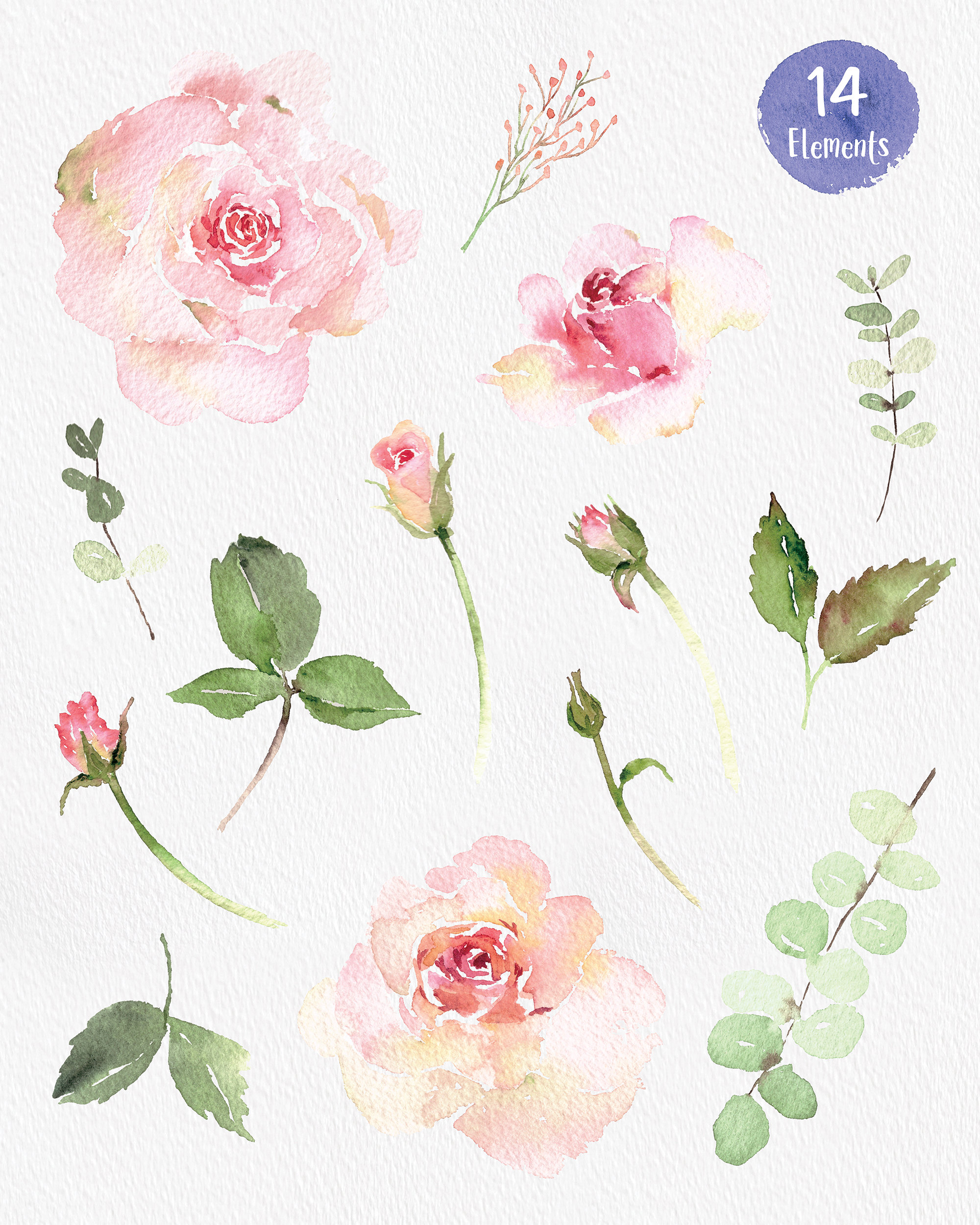 Watercolor Clipart Roses Bouquet Floral Arrangements Pink - Etsy
