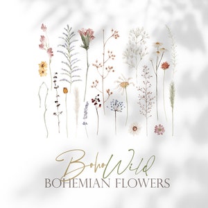 Boho Wild Flowers, Watercolor Wild Flower, Wild Flower PNG, Watercolor ...