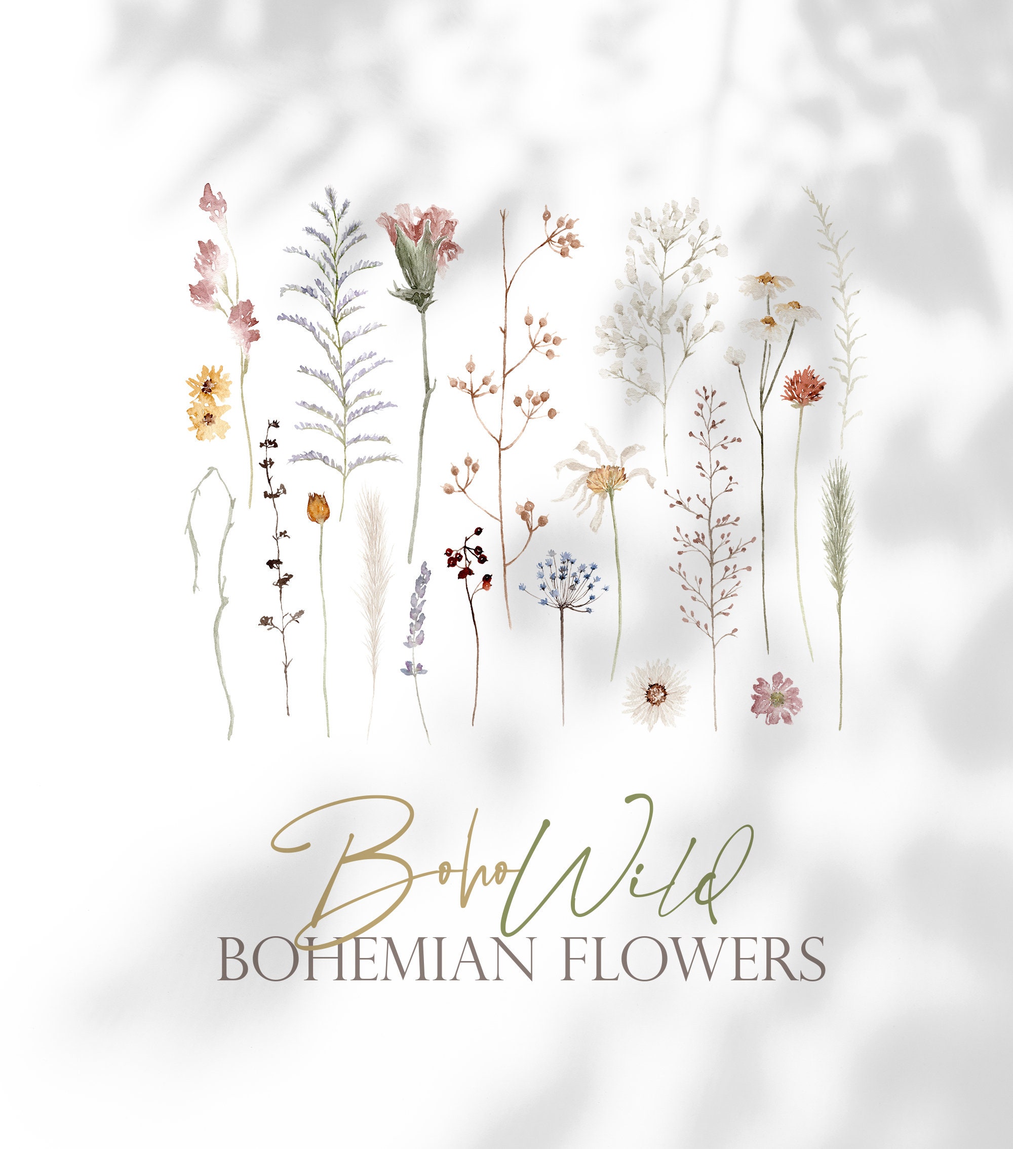 Boho Wild Flowers Watercolor Wild Flower Wild Flower PNG - Etsy