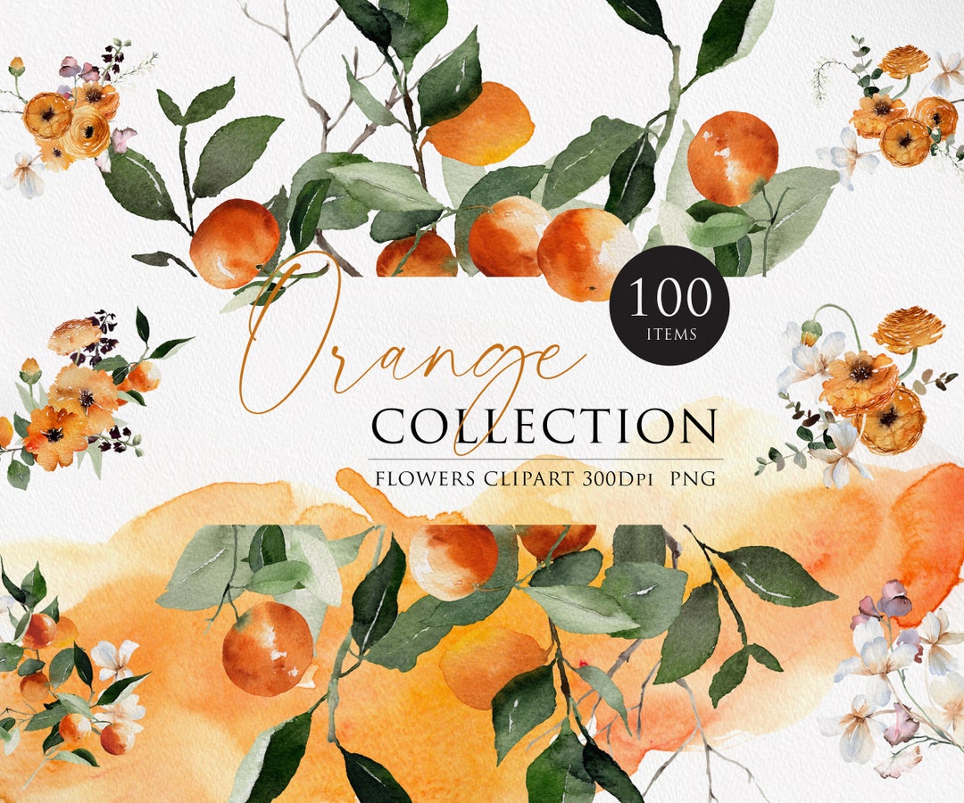 Watercolor Flower Bundle, Watercolor Orange Collection, Orange Wreaths ...