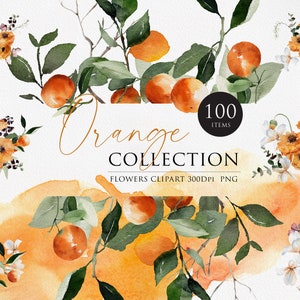 Watercolor Flower Bundle, Watercolor Orange Collection, Orange Wreaths ...