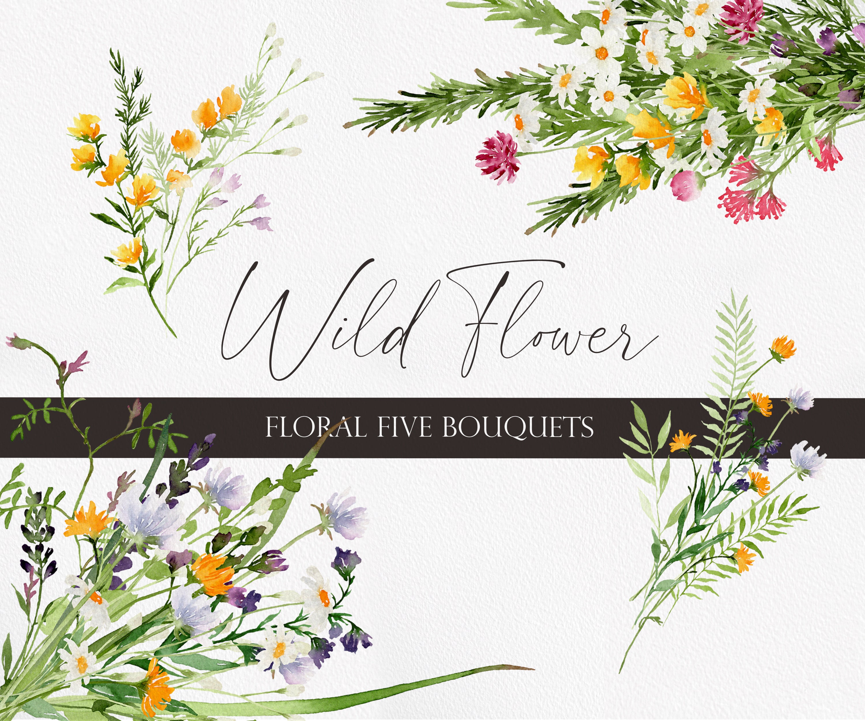 Wild Flowers, Flower Clipart, Watercolor Flower, Watercolor Clipart ...