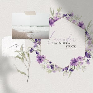 Watercolor Flower Bundle, Watercolor Purple Collection, Lavender ...