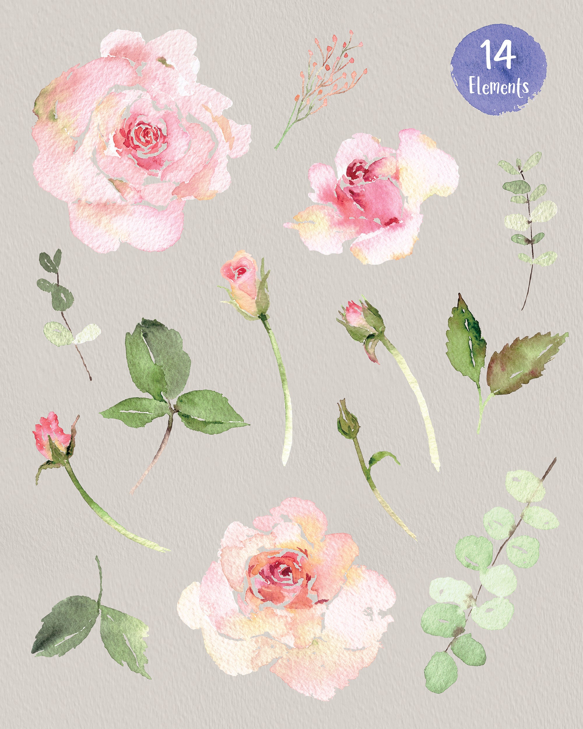 Watercolor Clipart Roses Bouquet Floral Arrangements Pink - Etsy