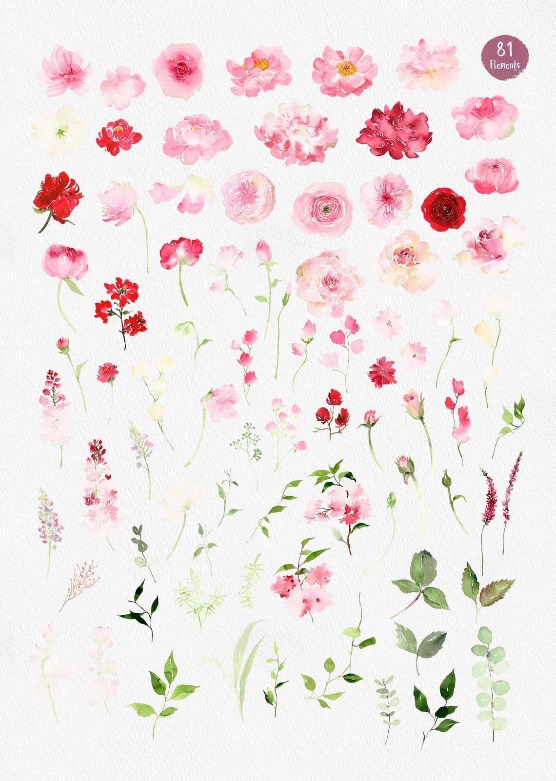 Watercolor Flower Bundle Watercolor Pink Collection Roses | Etsy