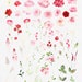 Watercolor Flower Bundle, Watercolor Pink Collection, Roses Wreath ...